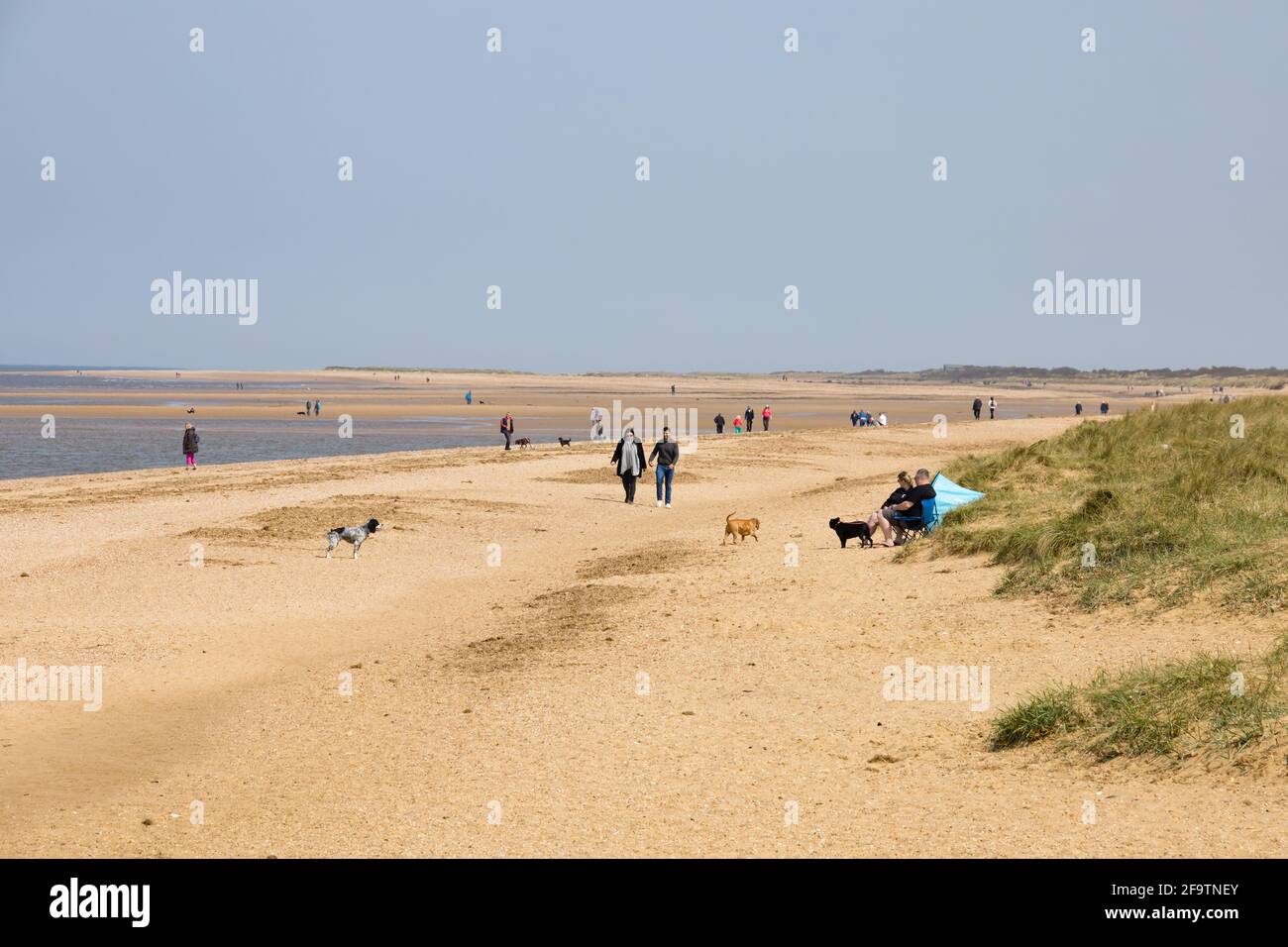 Can You Take Dogs To Hunstanton Beach