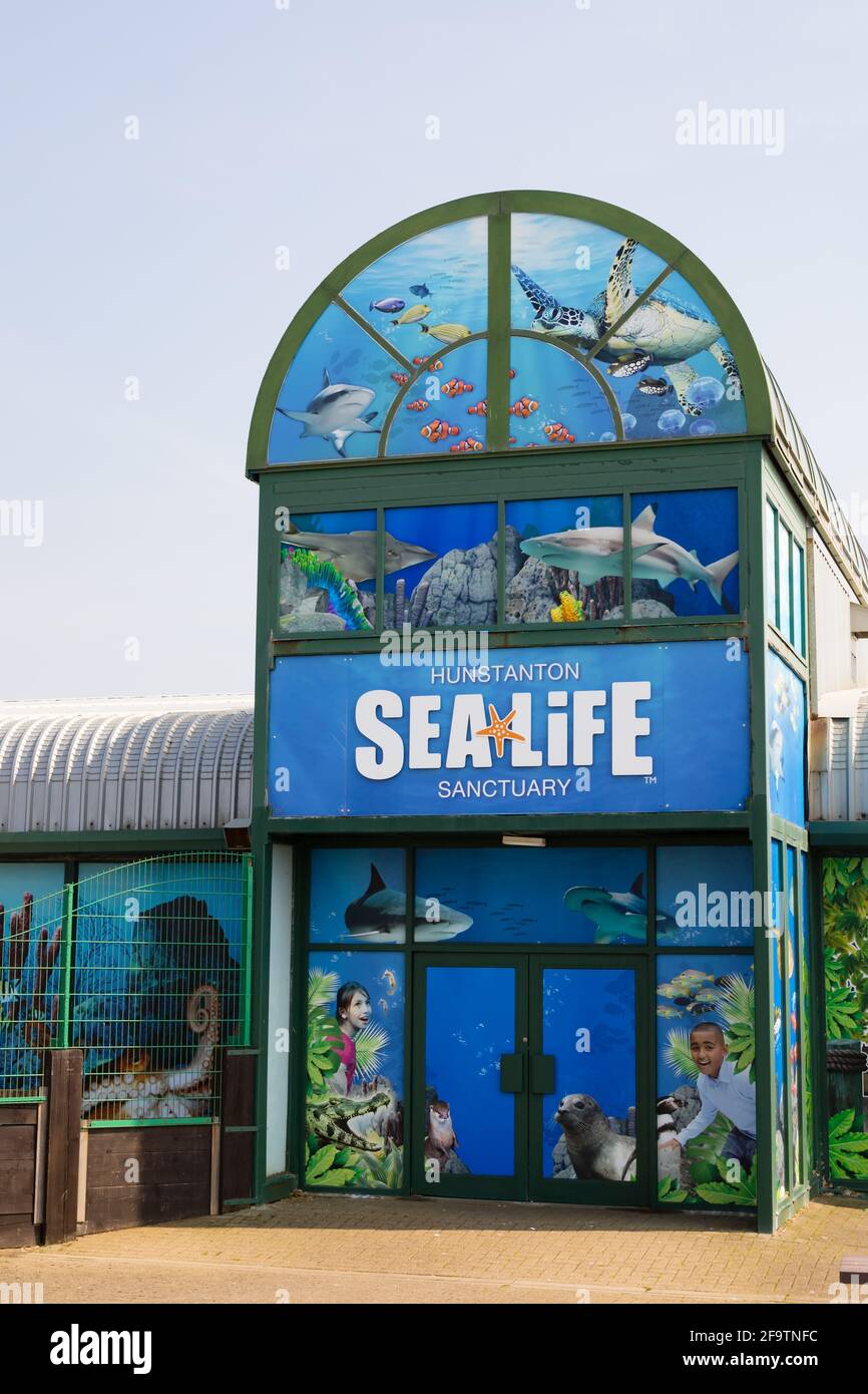 Sea life hunstanton hi-res stock photography and images - Alamy
