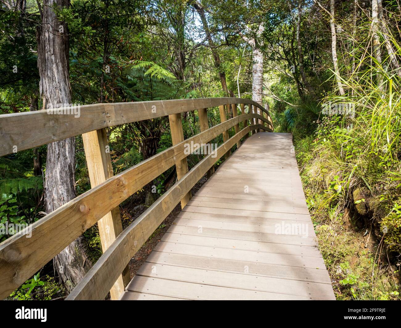Piha falls hi-res stock photography and images - Alamy