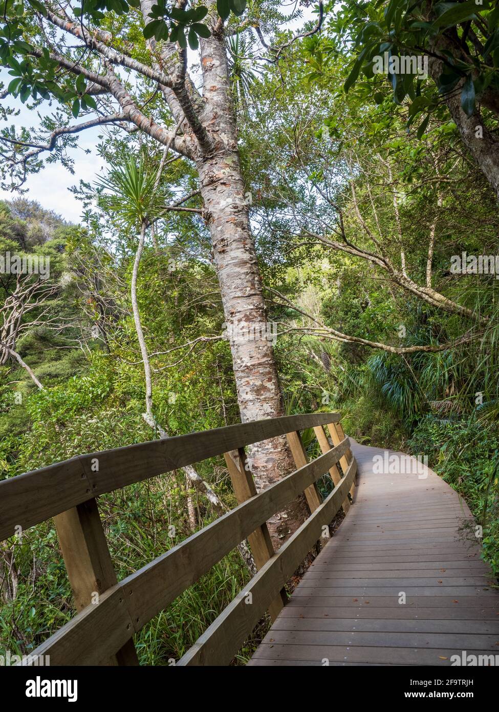 Kitekite falls track hi-res stock photography and images - Alamy