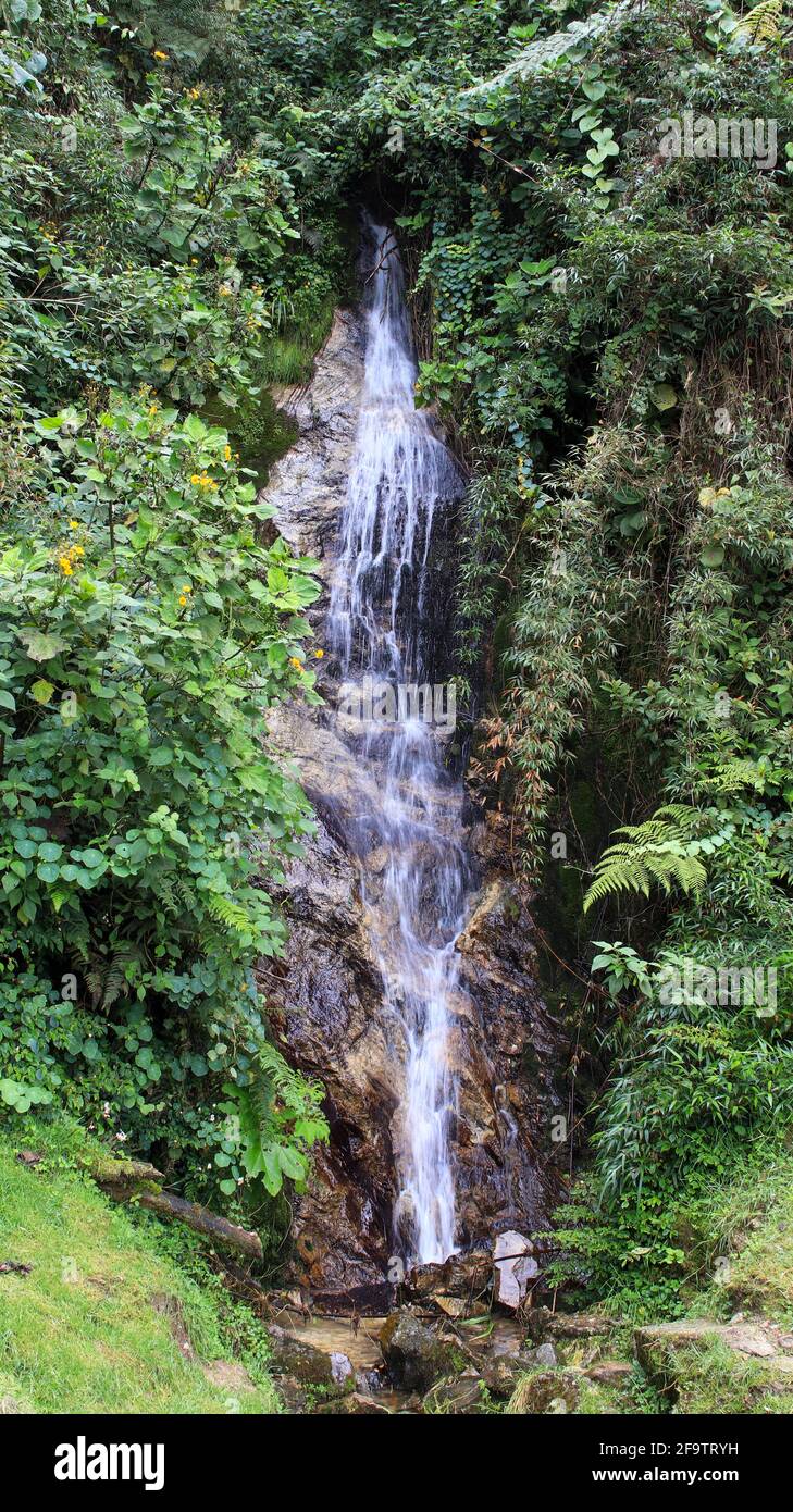 Vertical shot small cascade hi-res stock photography and images - Alamy