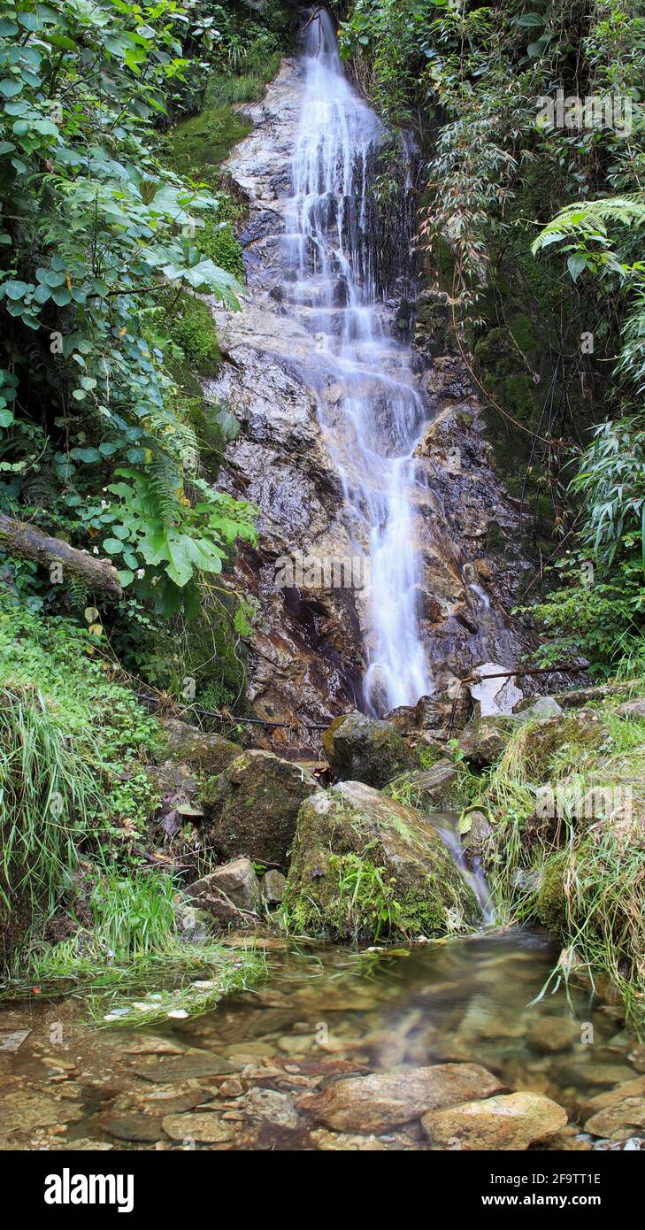 Vertical shot small cascade hi-res stock photography and images - Alamy