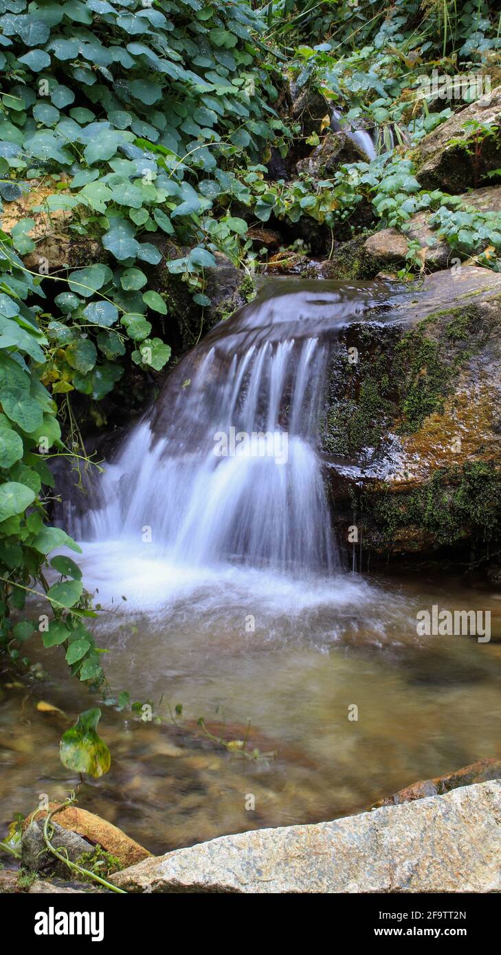 Vertical shot small cascade hi-res stock photography and images - Alamy