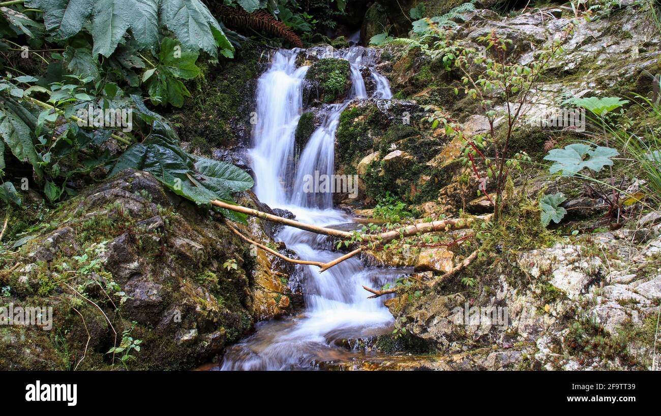 Small waterfall in nature Stock Photo - Alamy