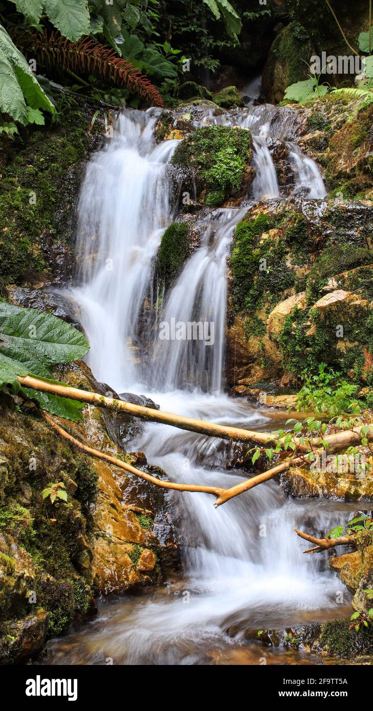 Vertical shot small cascade hi-res stock photography and images - Alamy