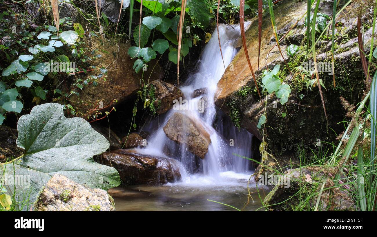 Small waterfall in nature Stock Photo - Alamy