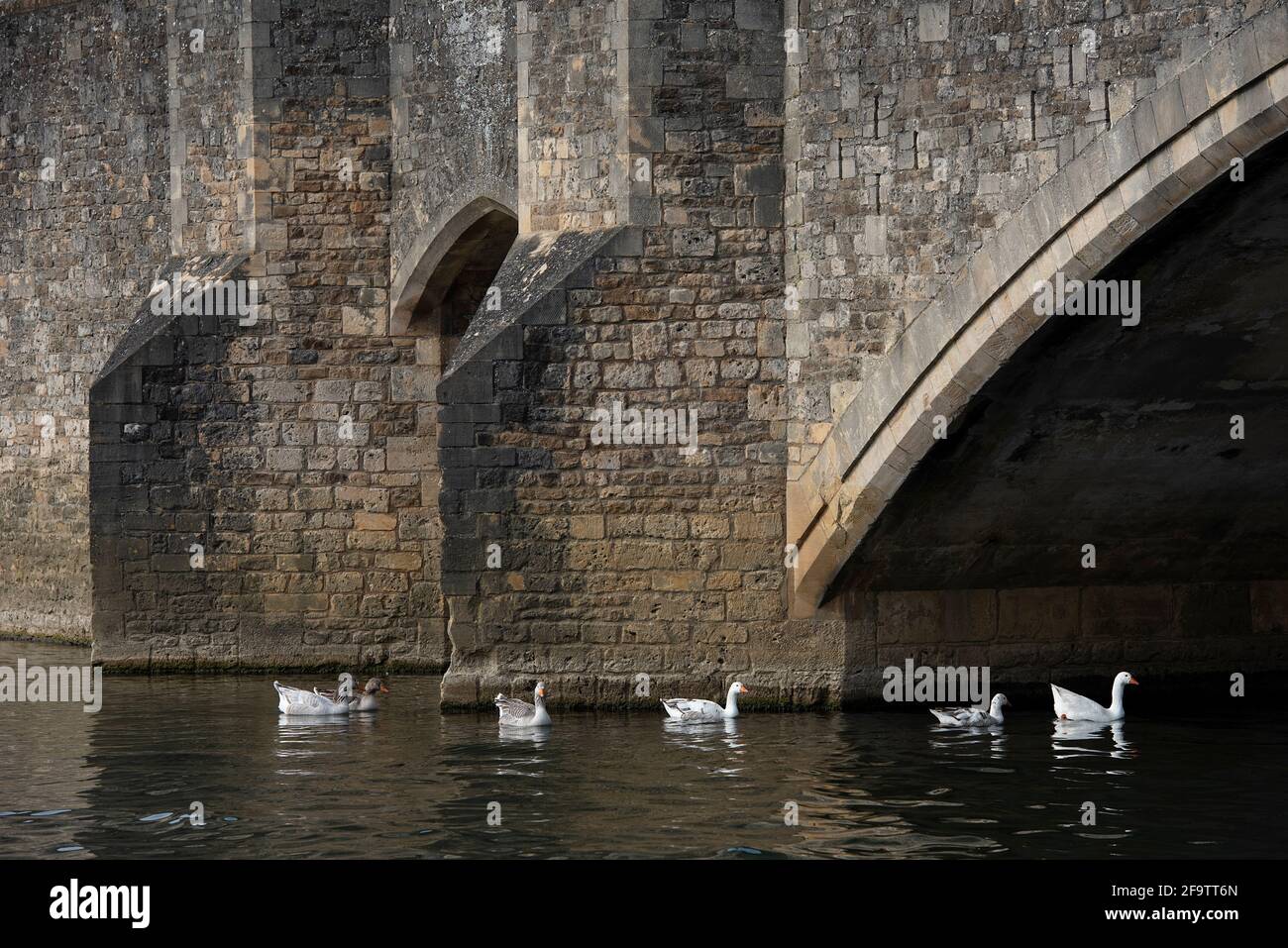 Gliding under the bridge hi-res stock photography and images - Alamy