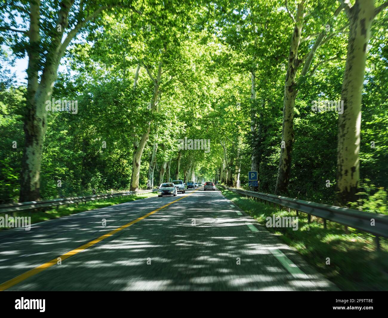 French roads trees hi-res stock photography and images - Alamy