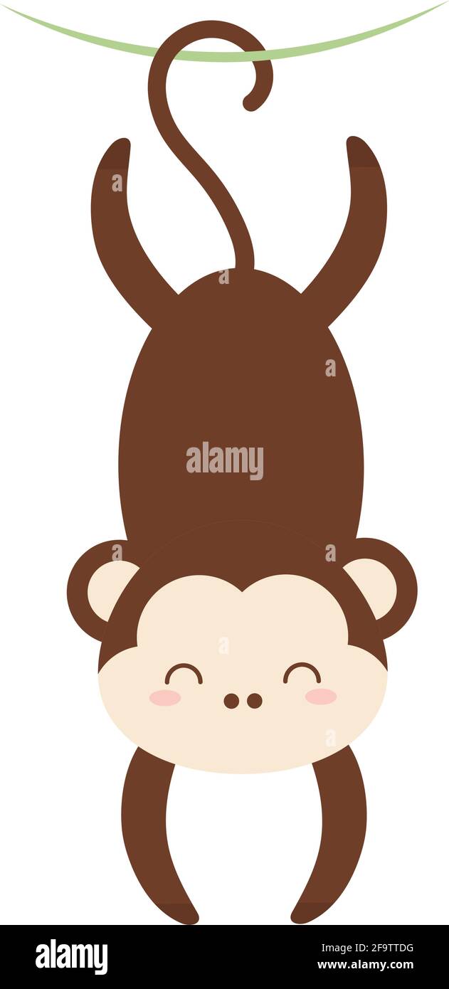 cute baby monkey Stock Vector Image & Art - Alamy