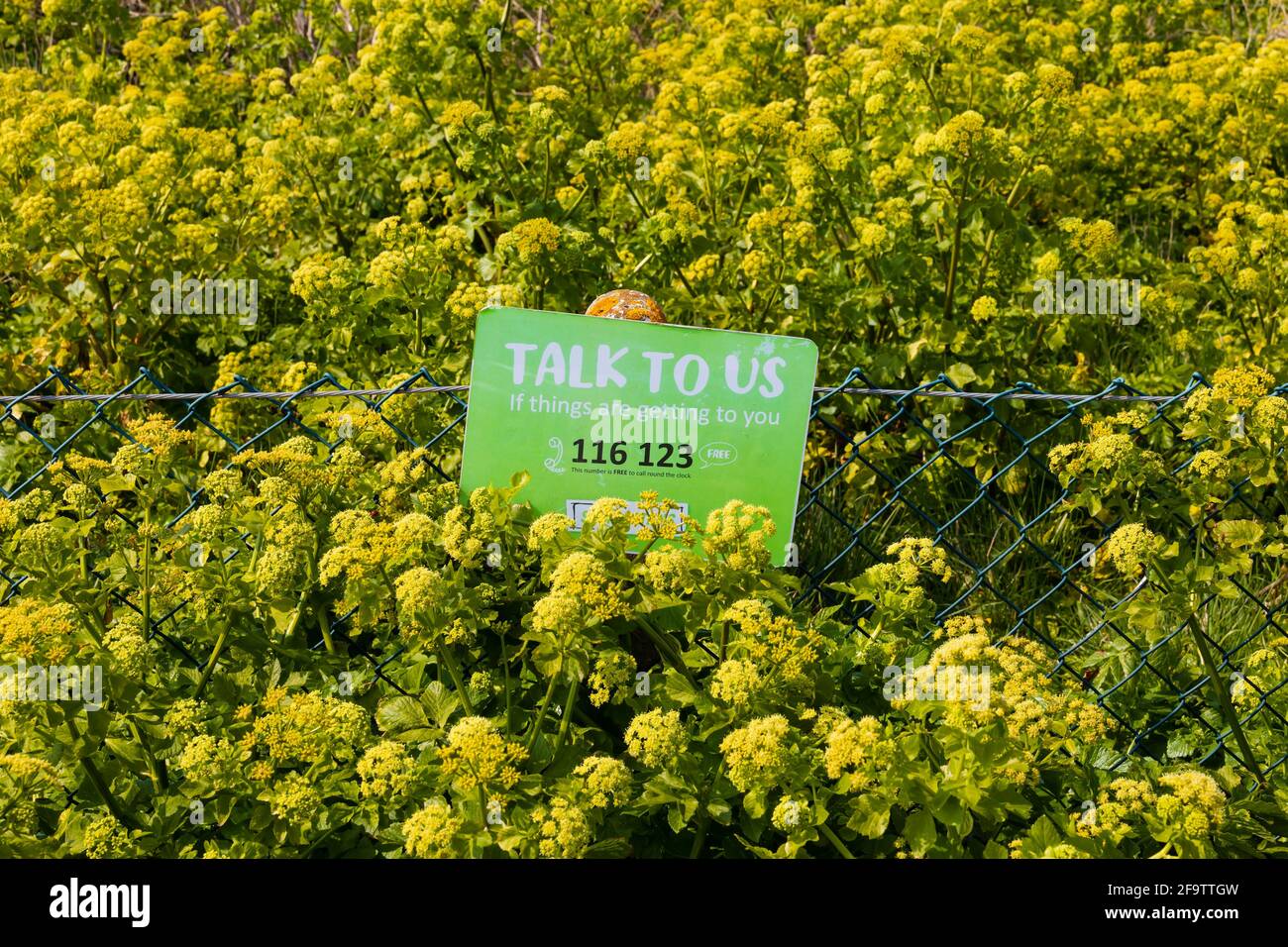 Vegeta sign hi-res stock photography and images - Alamy
