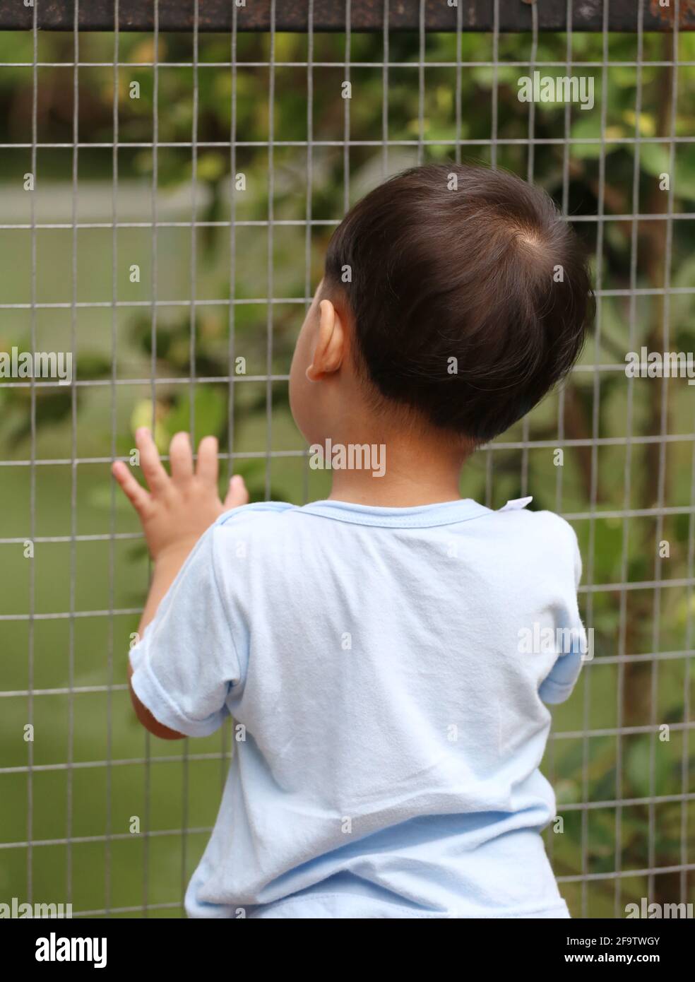 Asian boys was looking at the animals in the zoo with great interest ...