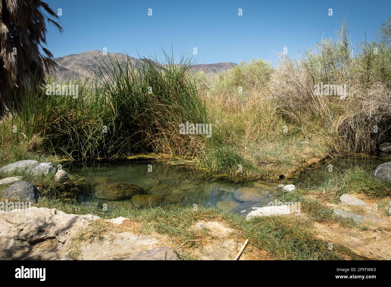 Saline valley hot spring california hi-res stock photography and images ...
