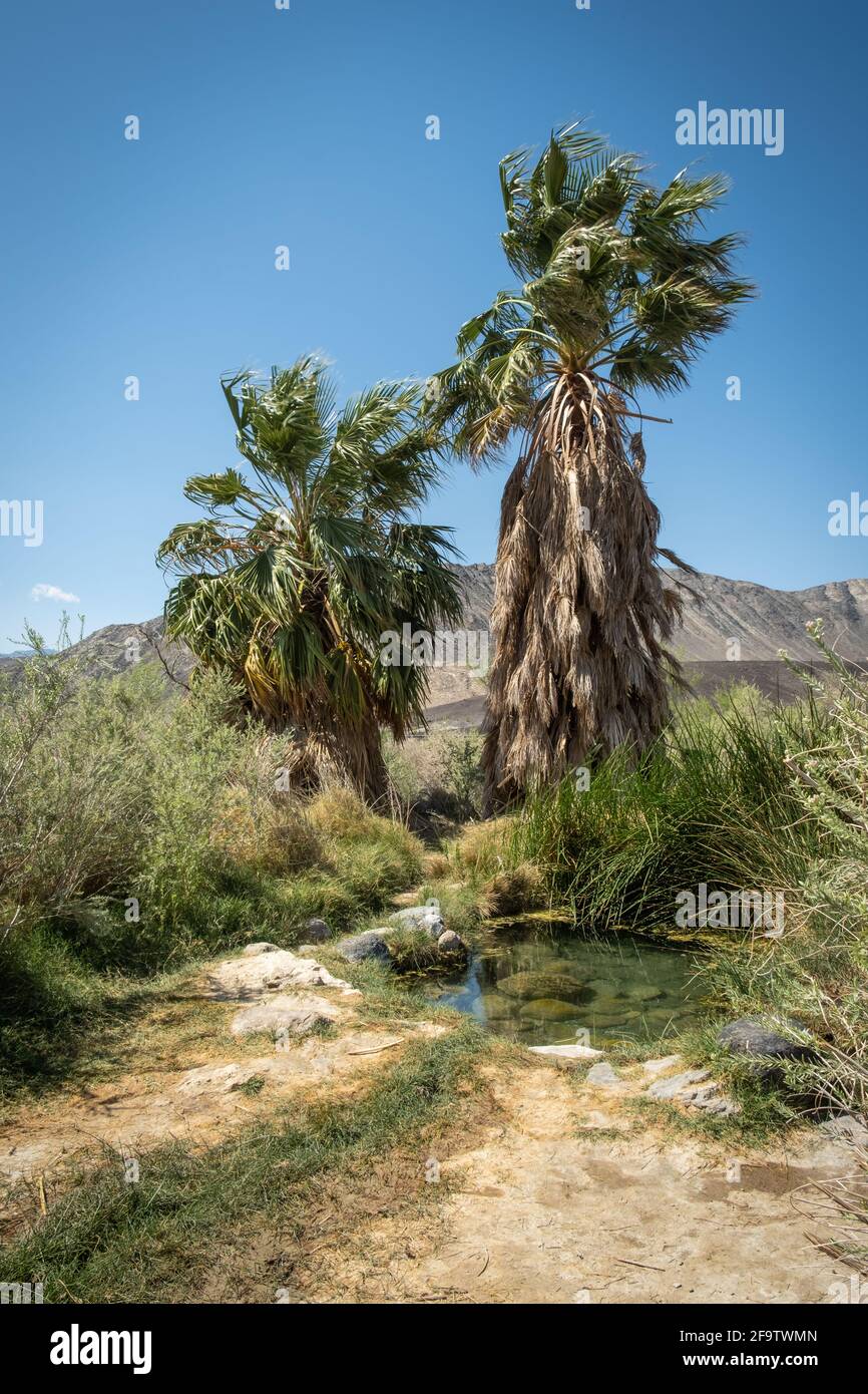 Saline valley hot spring california hi-res stock photography and images ...