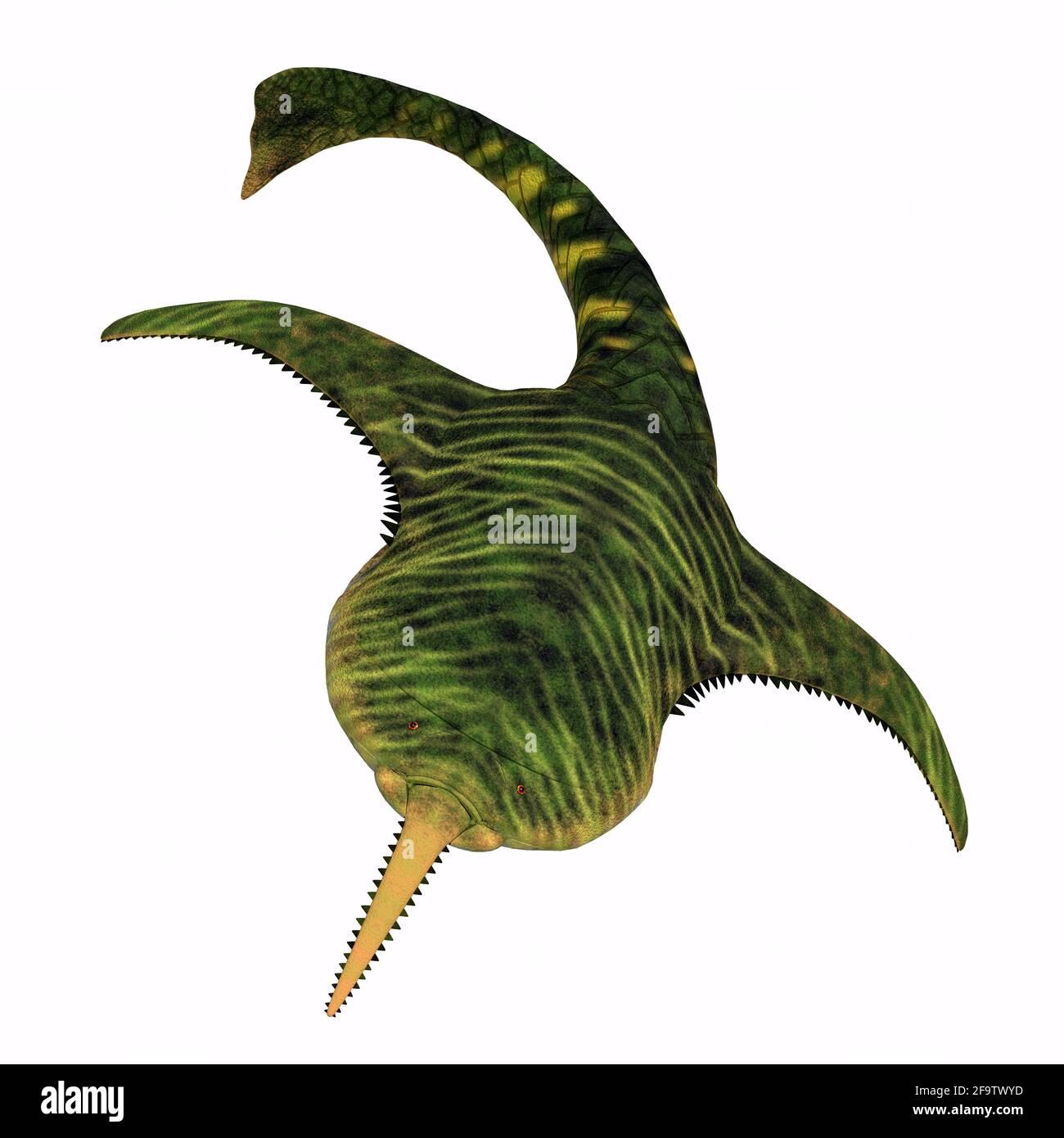 Lyktaspis hi-res stock photography and images - Alamy