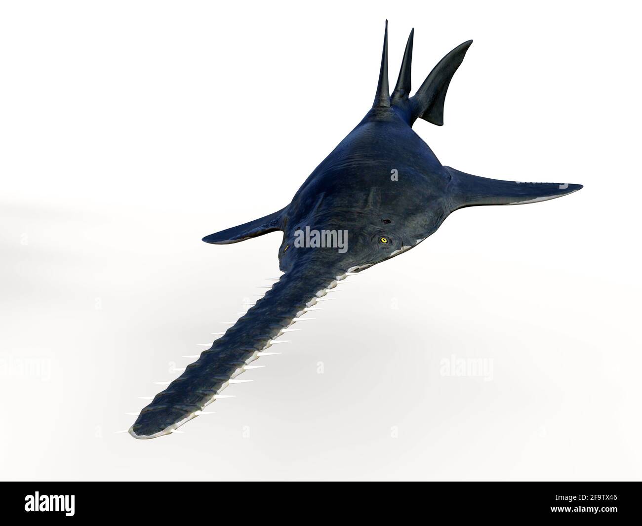 Onchopristis is an extinct predatory sawfish that lived in the seas of ...