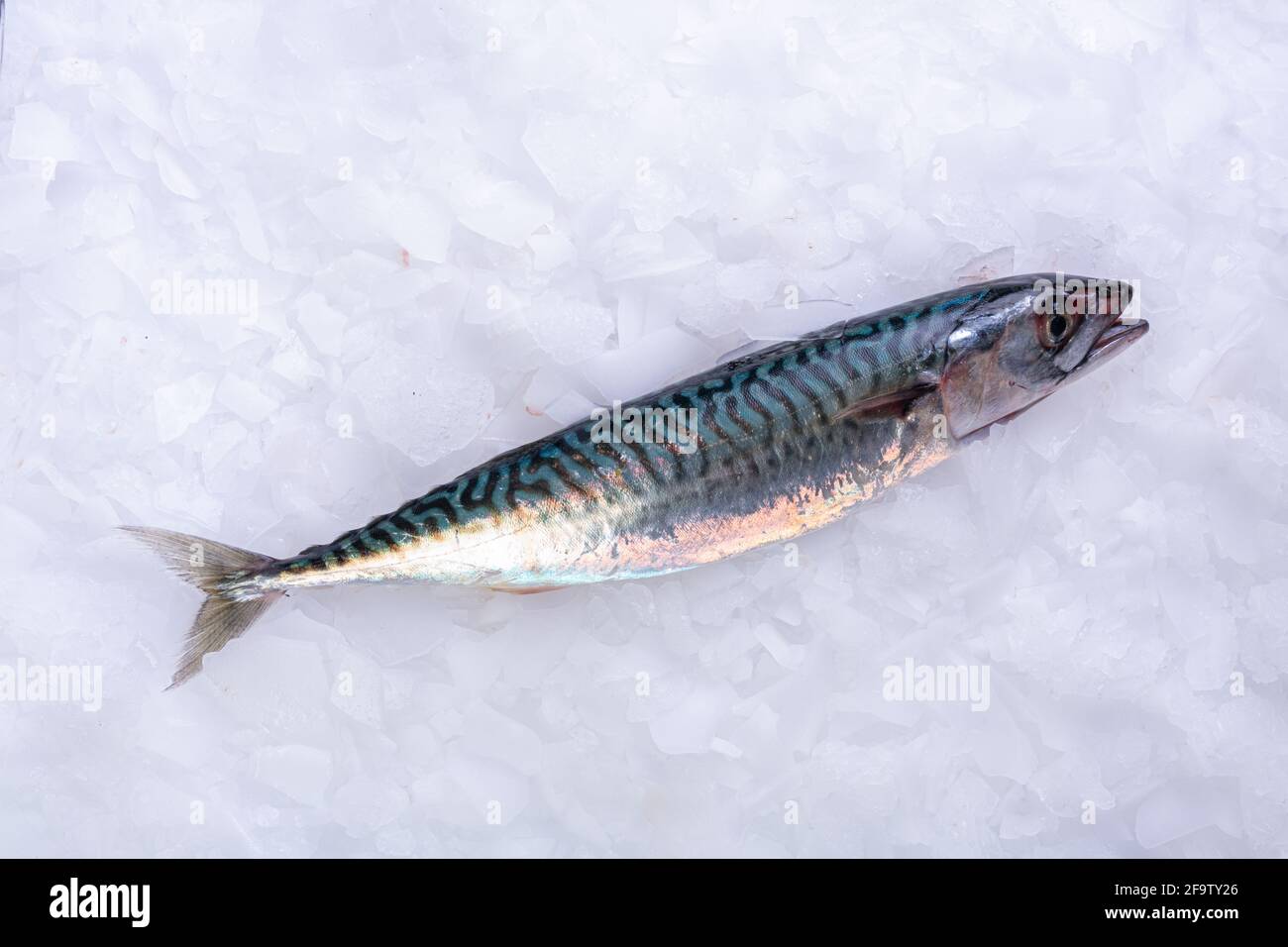 Fishmongers cut hi-res stock photography and images - Alamy