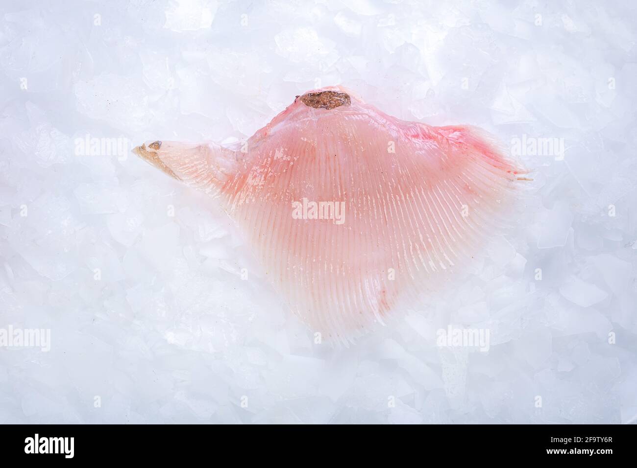 Skate wing in ice at a fishmonger's Stock Photo - Alamy