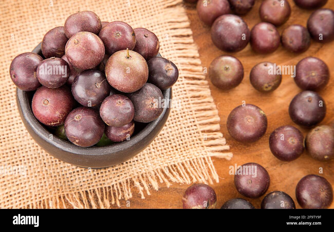 Exotic fruit of the jabuticaba - Plinia cauliflora Stock Photo - Alamy