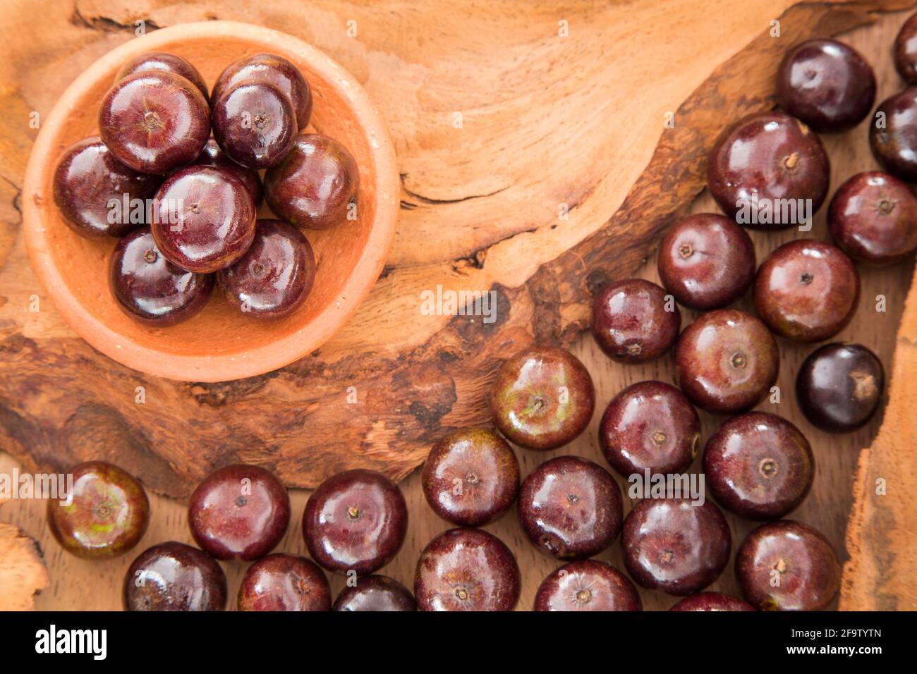 Brazilian exotic berry jabuticaba - Plinia cauliflora Stock Photo - Alamy
