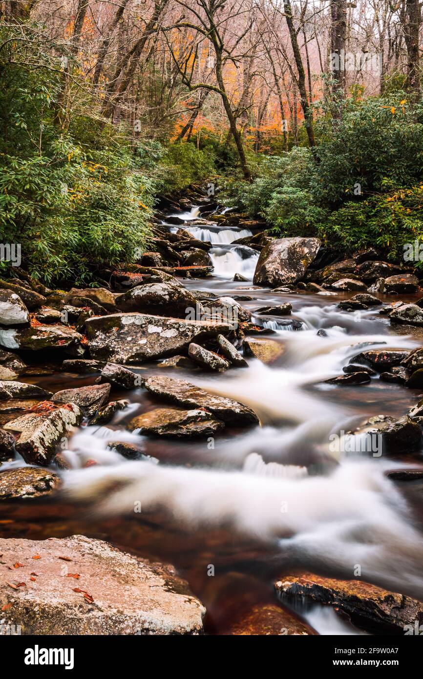 Small stream along a trail head Stock Photo - Alamy