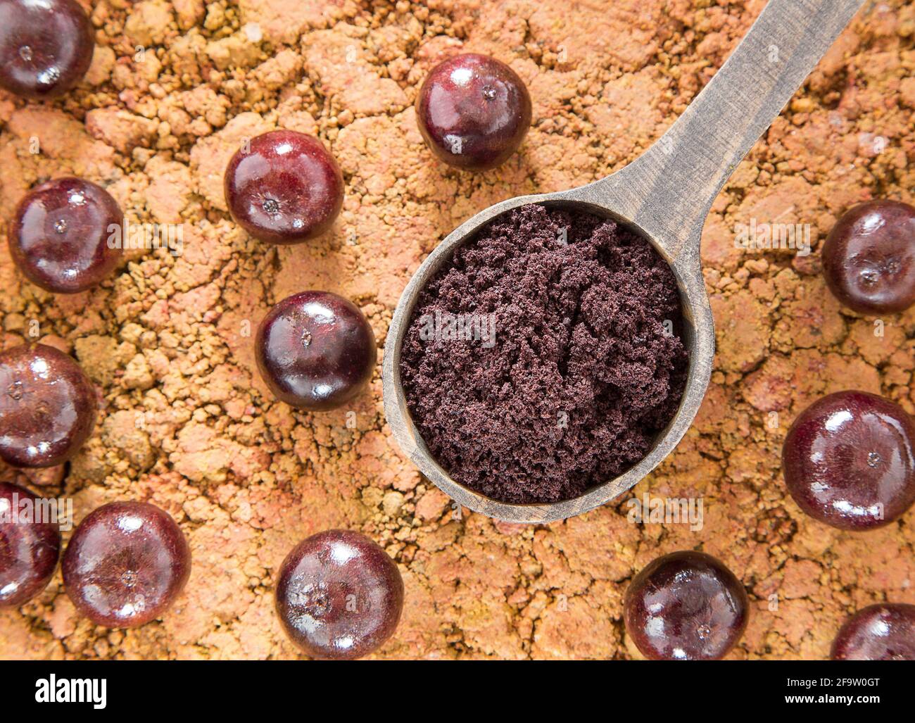 Brazilian exotic berry jabuticaba - Plinia cauliflora Stock Photo - Alamy