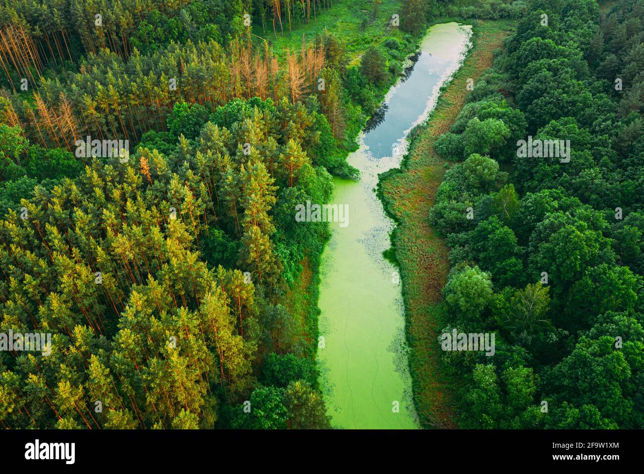 Summer landscape view marsh hi-res stock photography and images - Alamy