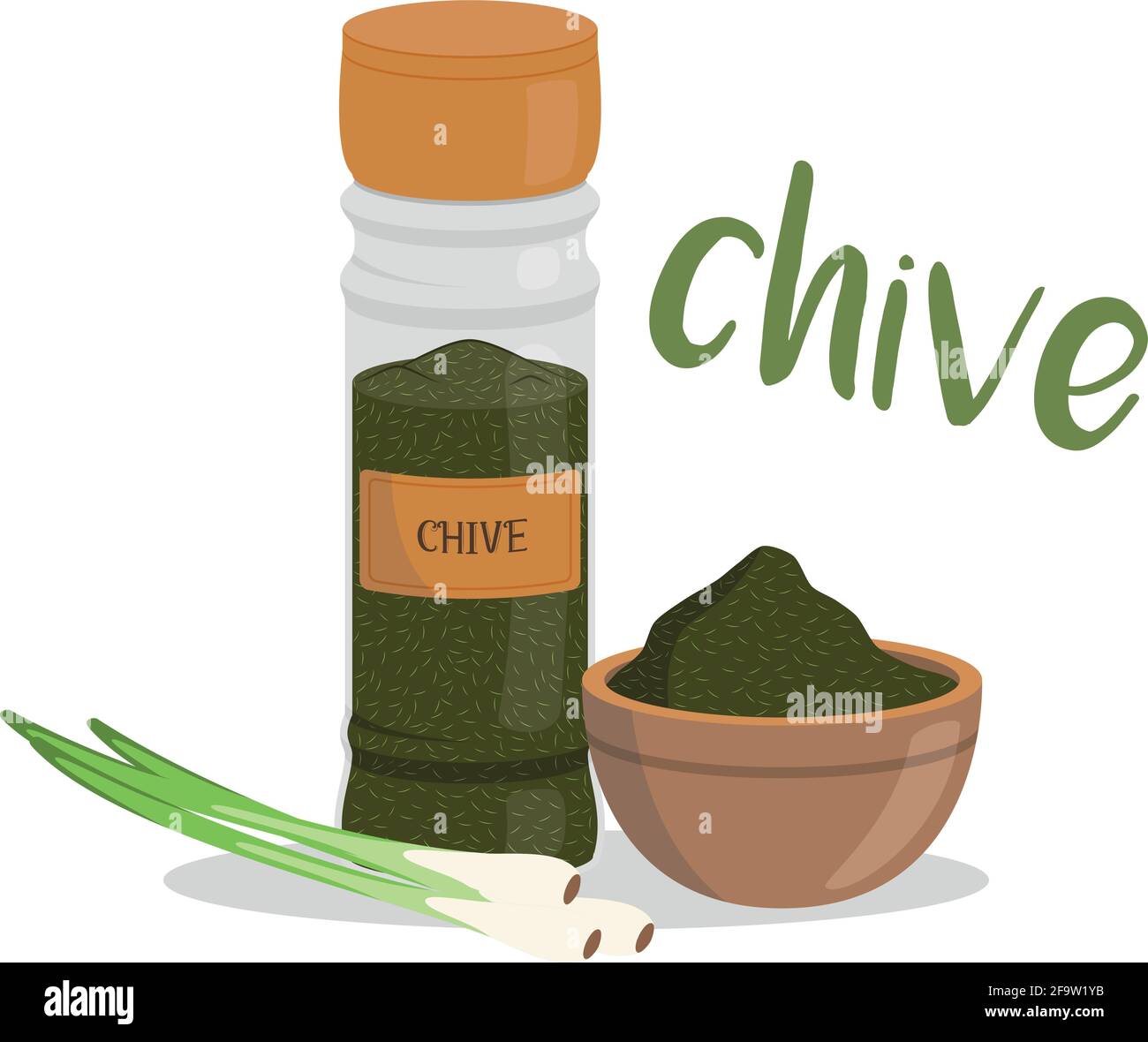 Vector chive illustration isolated in cartoon style. Herbs and Species ...