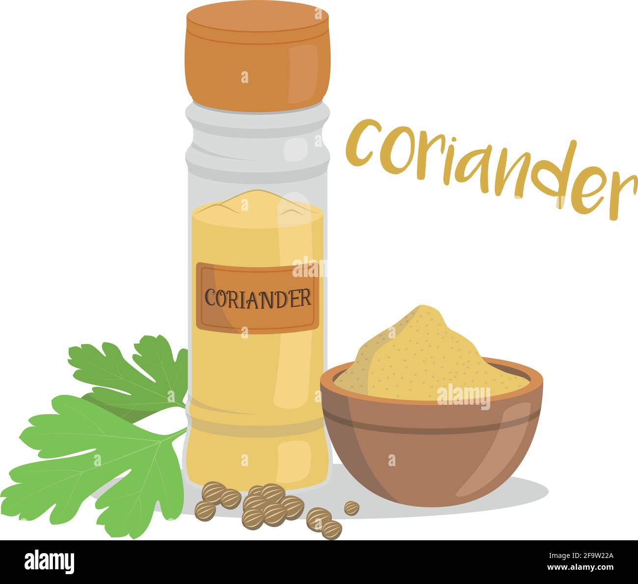 Vector coriander illustration isolated in cartoon style. Herbs and ...