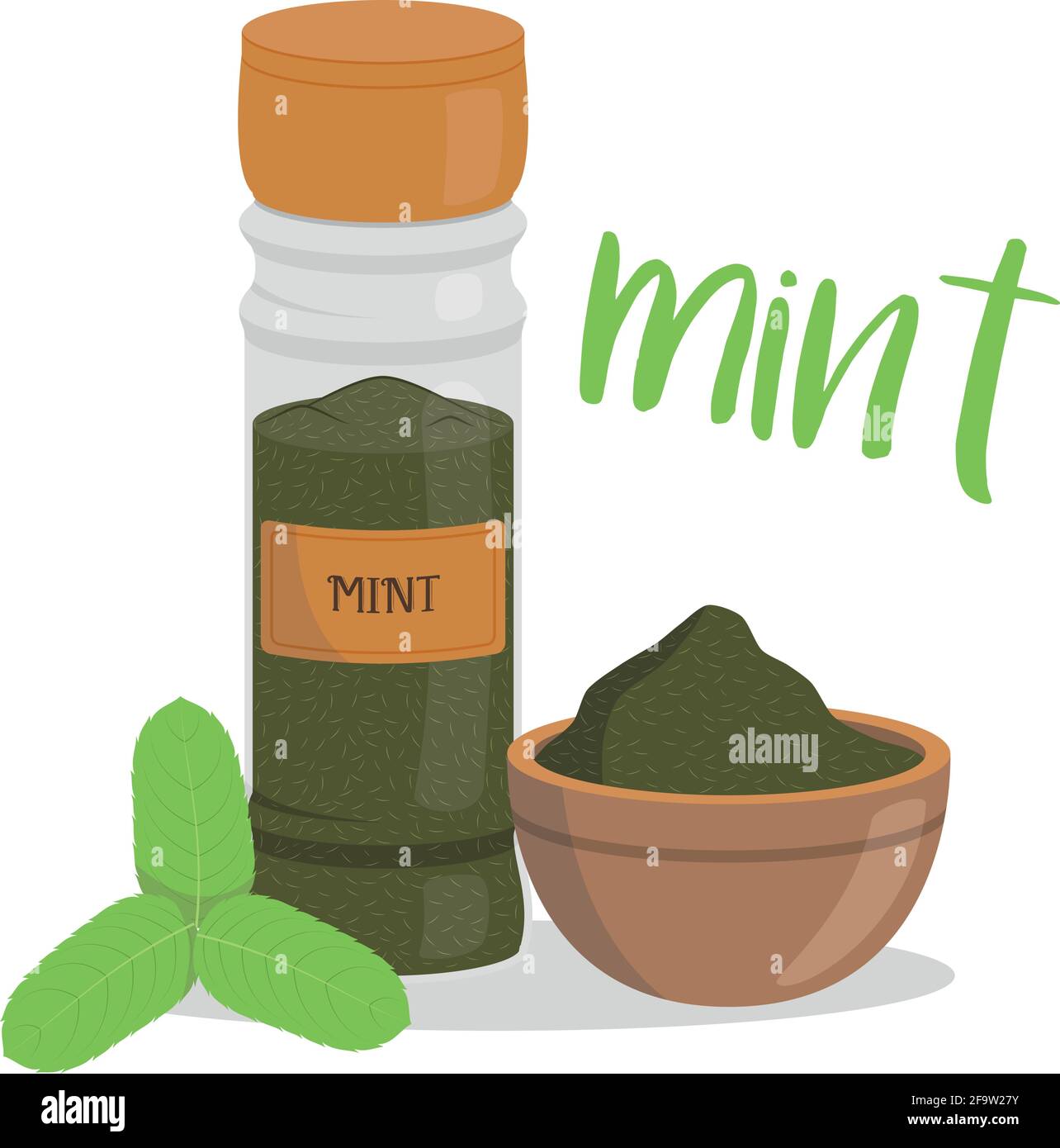 Vector mint illustration isolated in cartoon style. Herbs and Species ...
