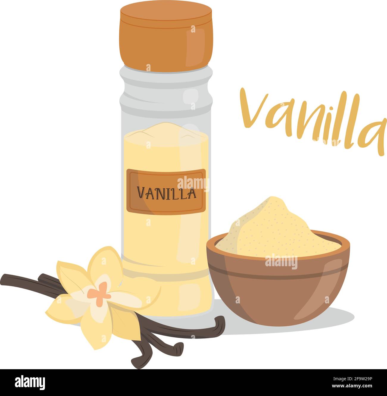 Vector vanilla illustration isolated in cartoon style. Herbs and ...