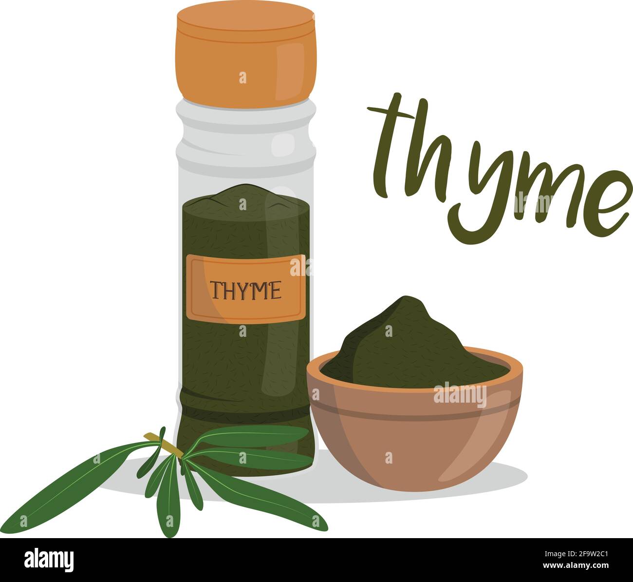 Vector thyme illustration isolated in cartoon style. Herbs and Species ...