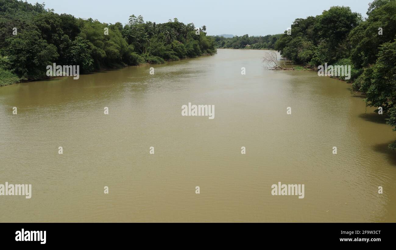 Majestic tree sri lanka hi-res stock photography and images - Alamy