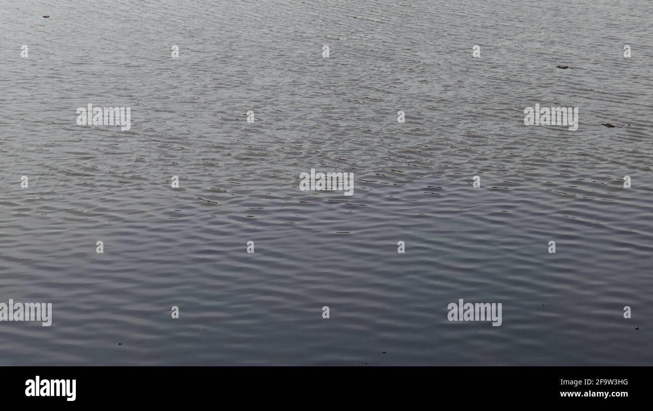 Water waves rising on the water surface of Remuna Lake,Sri lanka Stock ...