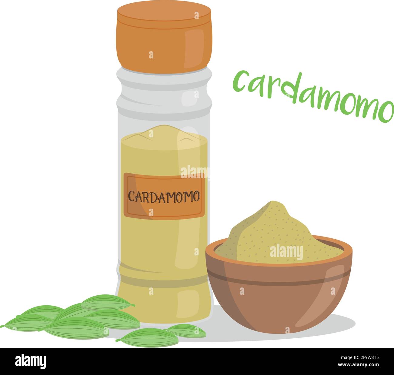 Vector cardamom illustration isolated in cartoon style. Spanish name ...