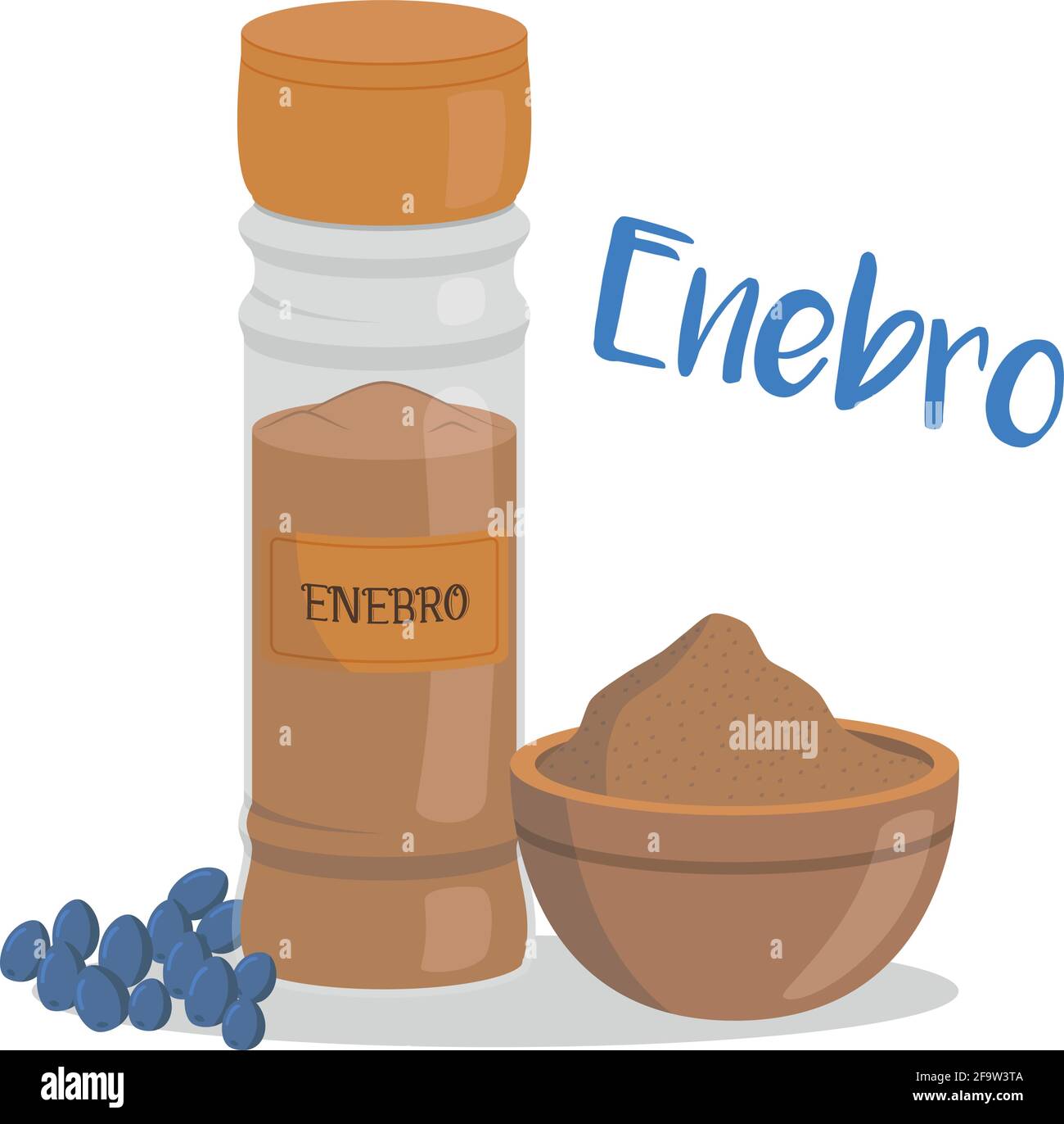 Vector juniper illustration isolated in cartoon style. Spanish name ...