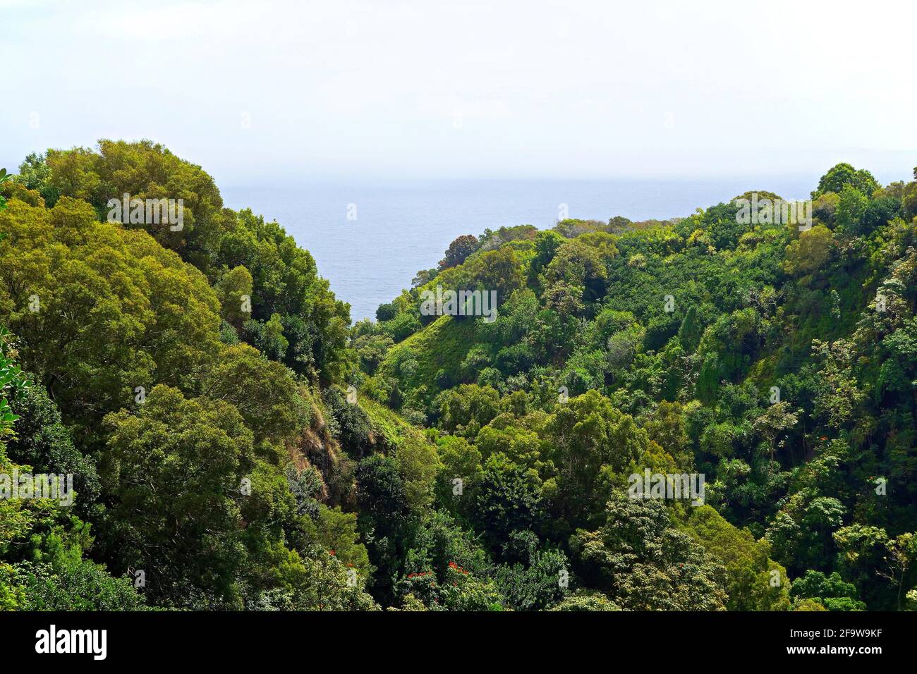 Beautiful shot mountains dense hi-res stock photography and images - Alamy