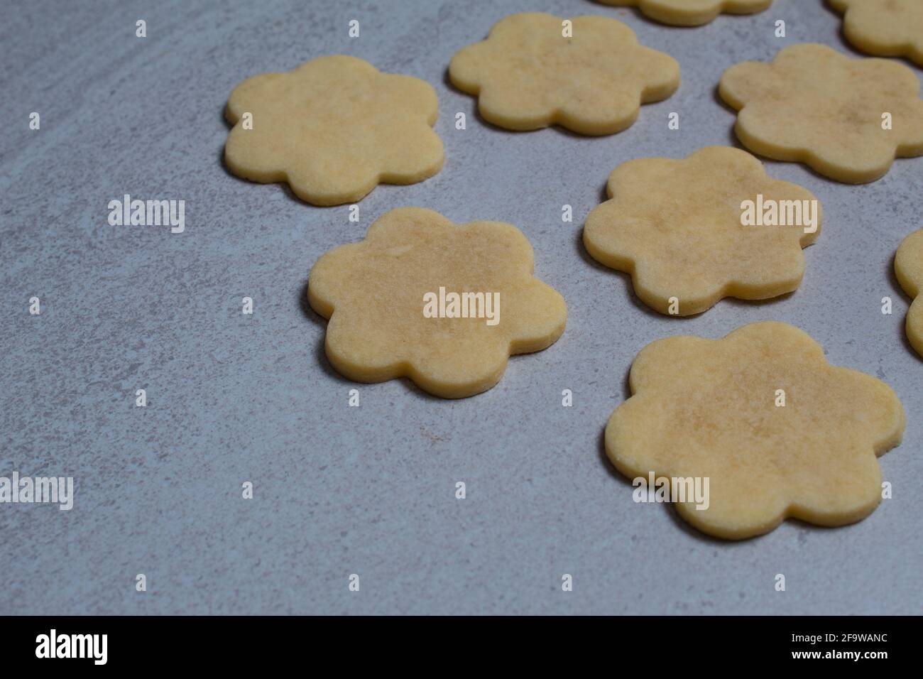 Making sugar cookies in the kitchen hi-res stock photography and images ...