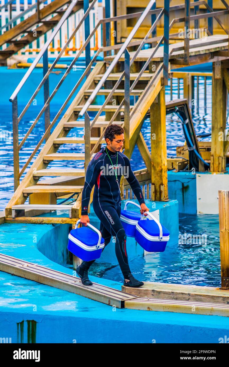 Keeper animal underwater hi-res stock photography and images - Alamy