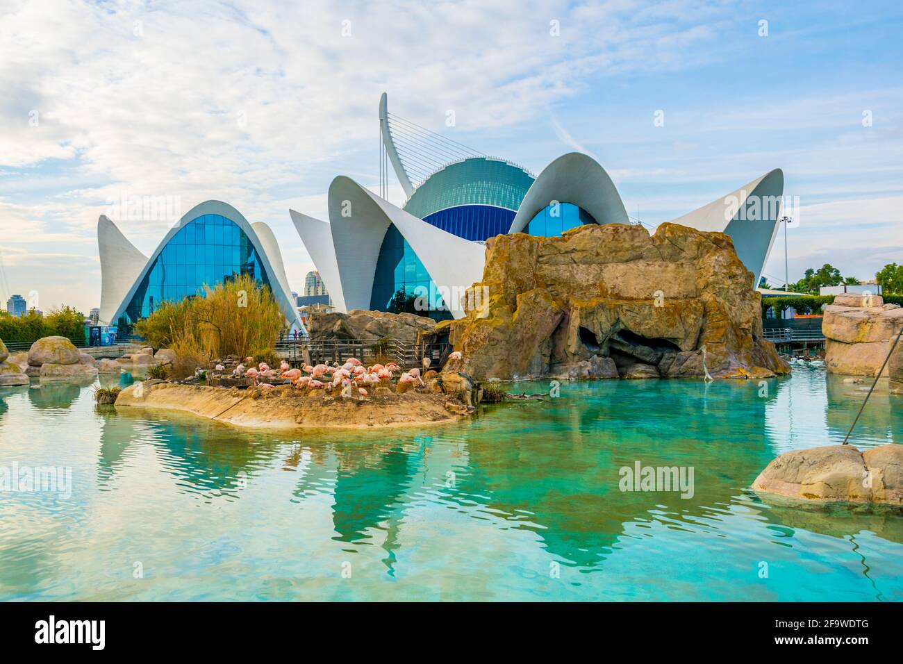 VALENCIA, SPAIN, DECEMBER 31, 2015: L'Oceanographic Center. The ...
