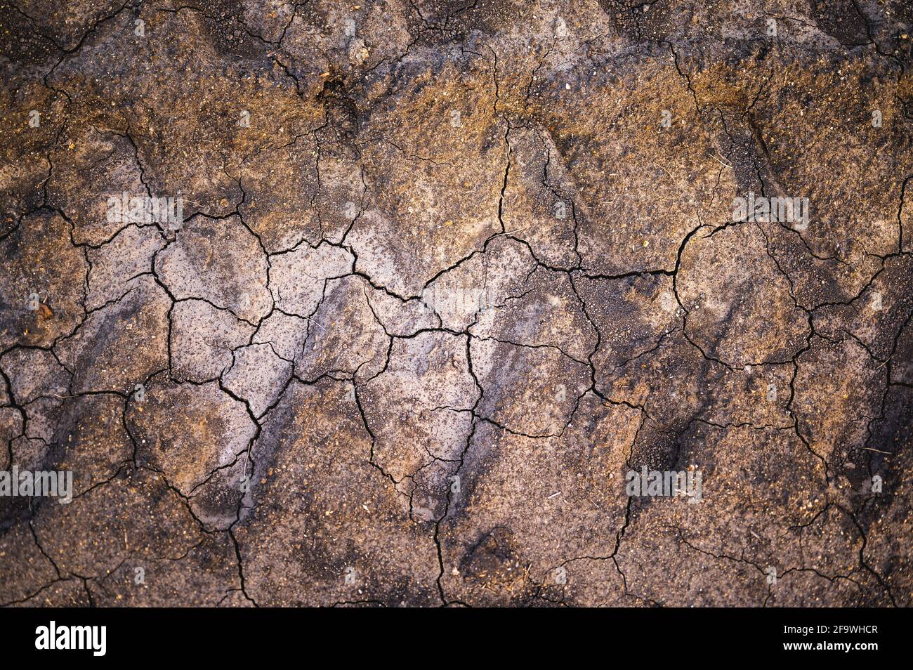 texture of dry broken ground with tractor tracks Stock Photo - Alamy