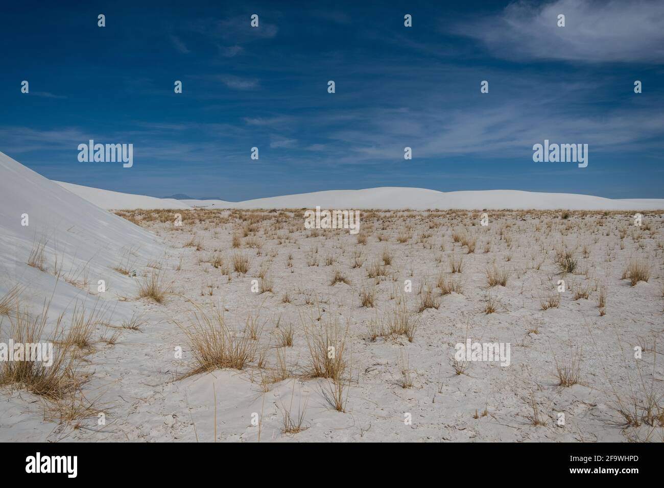 A landscape from White Sands National Monument in New Mexico Stock ...