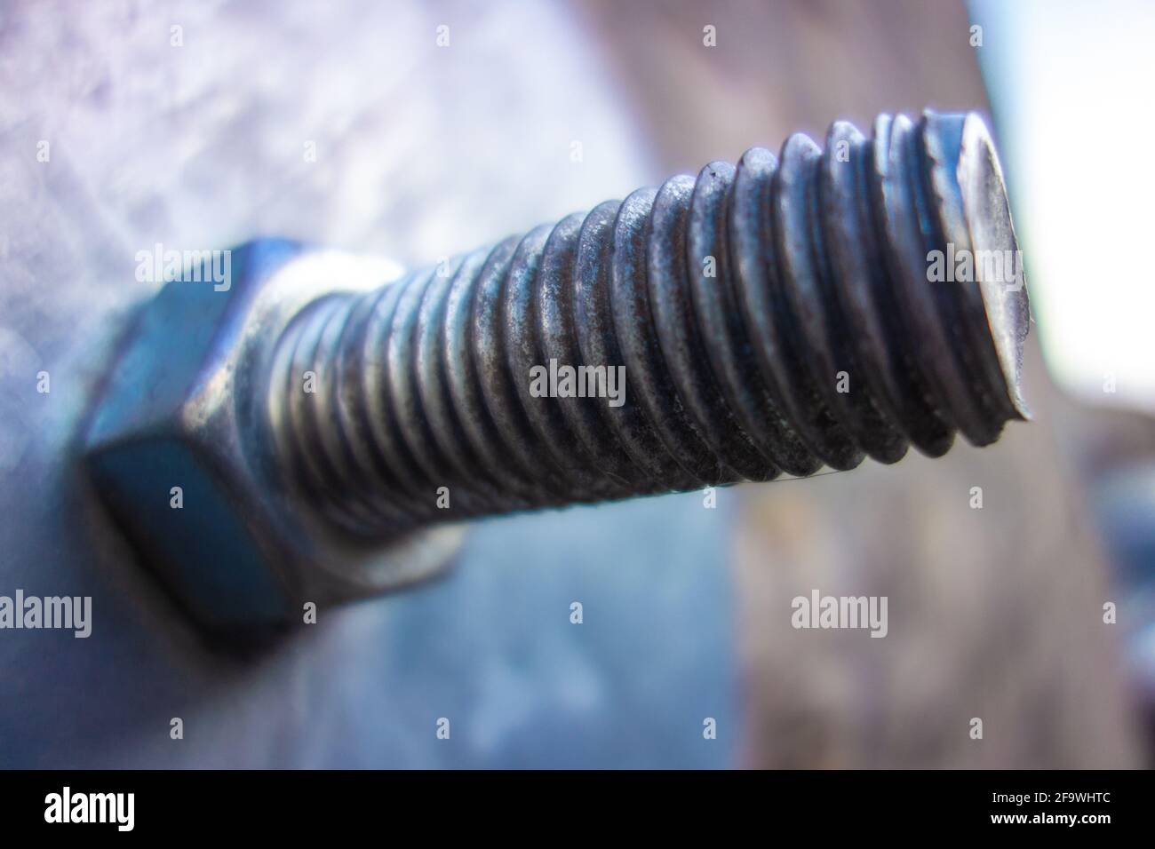 Closeup shot of the tail of a screw Stock Photo - Alamy