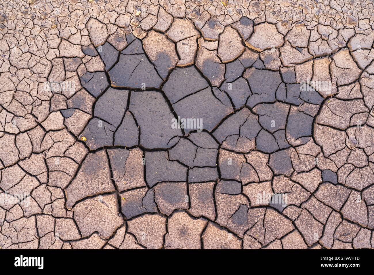 Peat dust hi-res stock photography and images - Alamy