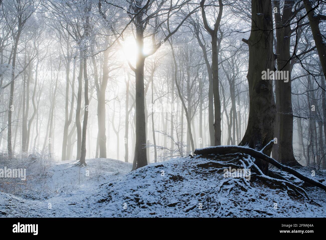 Mist early hi-res stock photography and images - Alamy