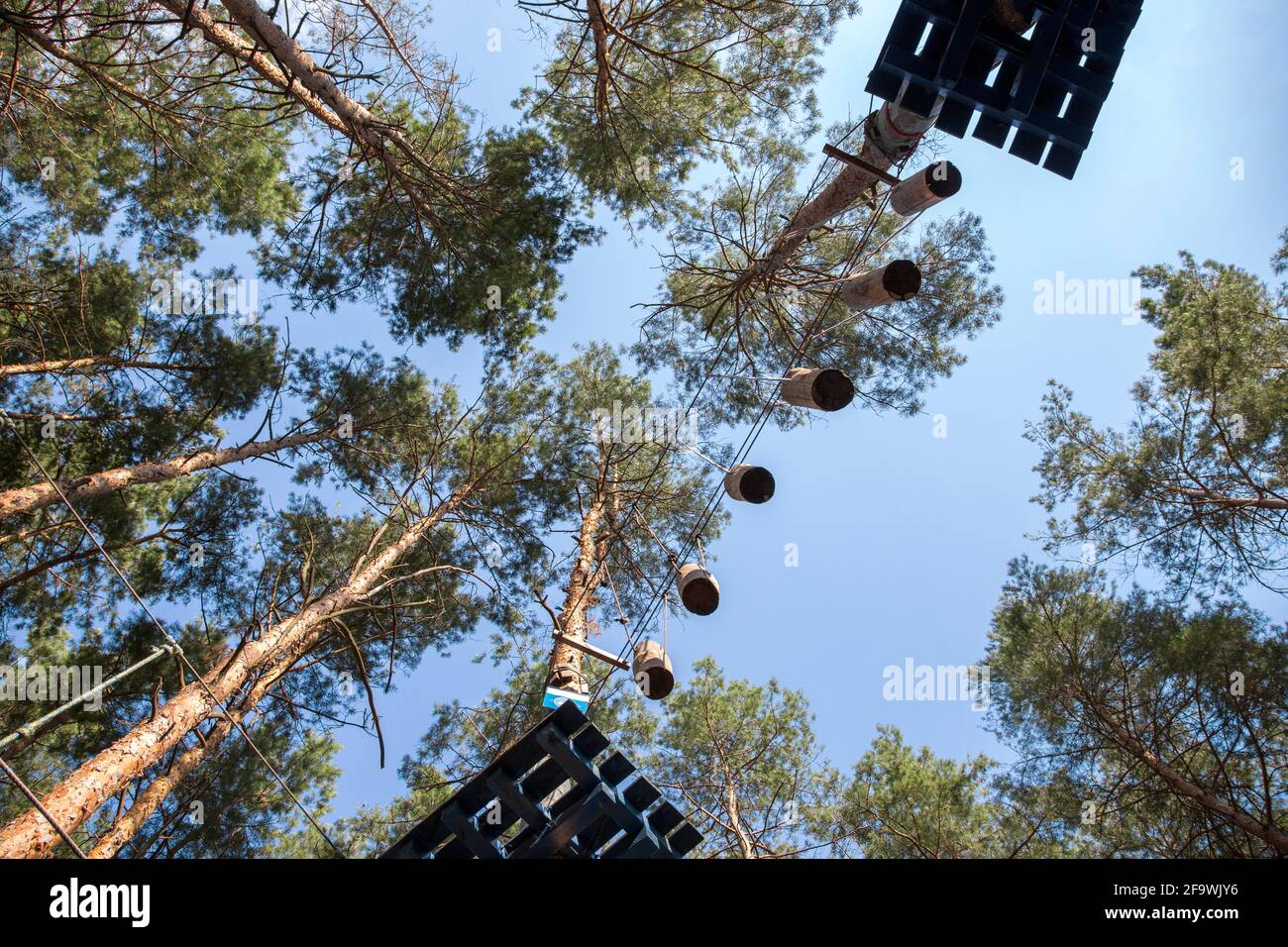 Obstacle course, rope park among the trees in the forest Stock Photo ...
