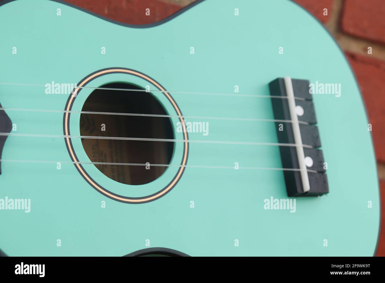 Ukulele under tree hi-res stock photography and images - Alamy