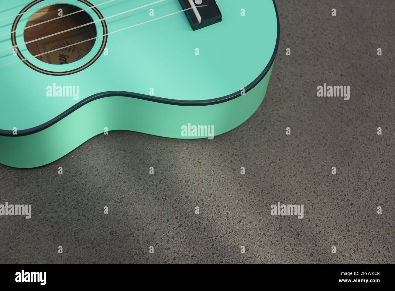 Ukulele under tree hi-res stock photography and images - Alamy