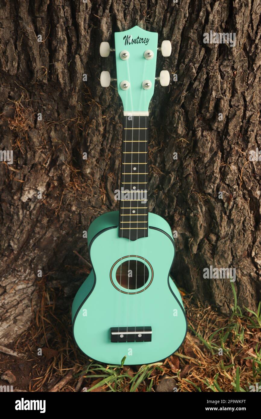 Ukulele under tree hi-res stock photography and images - Alamy