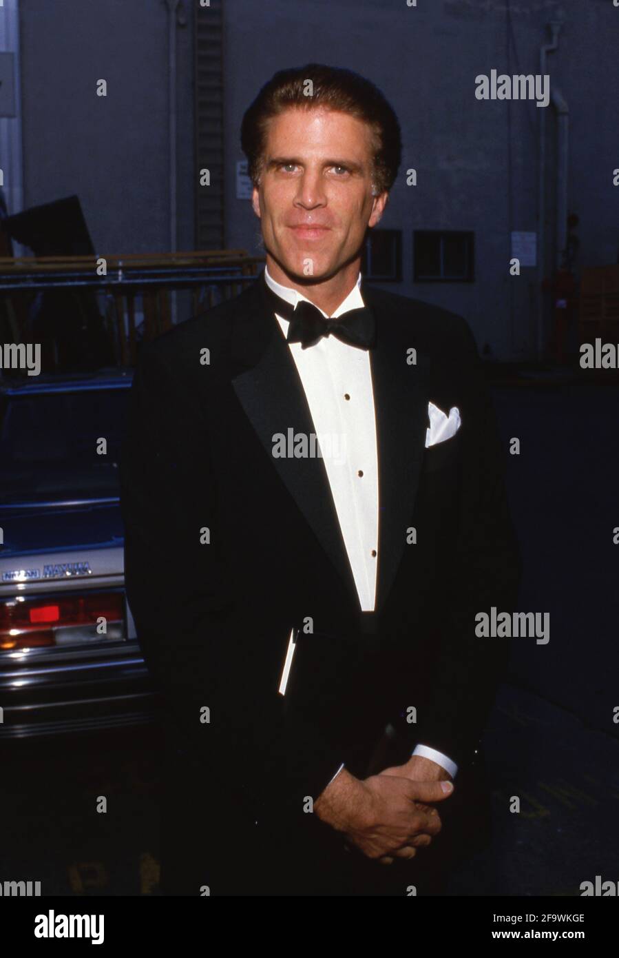 Ted Danson Circa 1980's Credit: Ralph Dominguez/MediaPunch Stock Photo ...