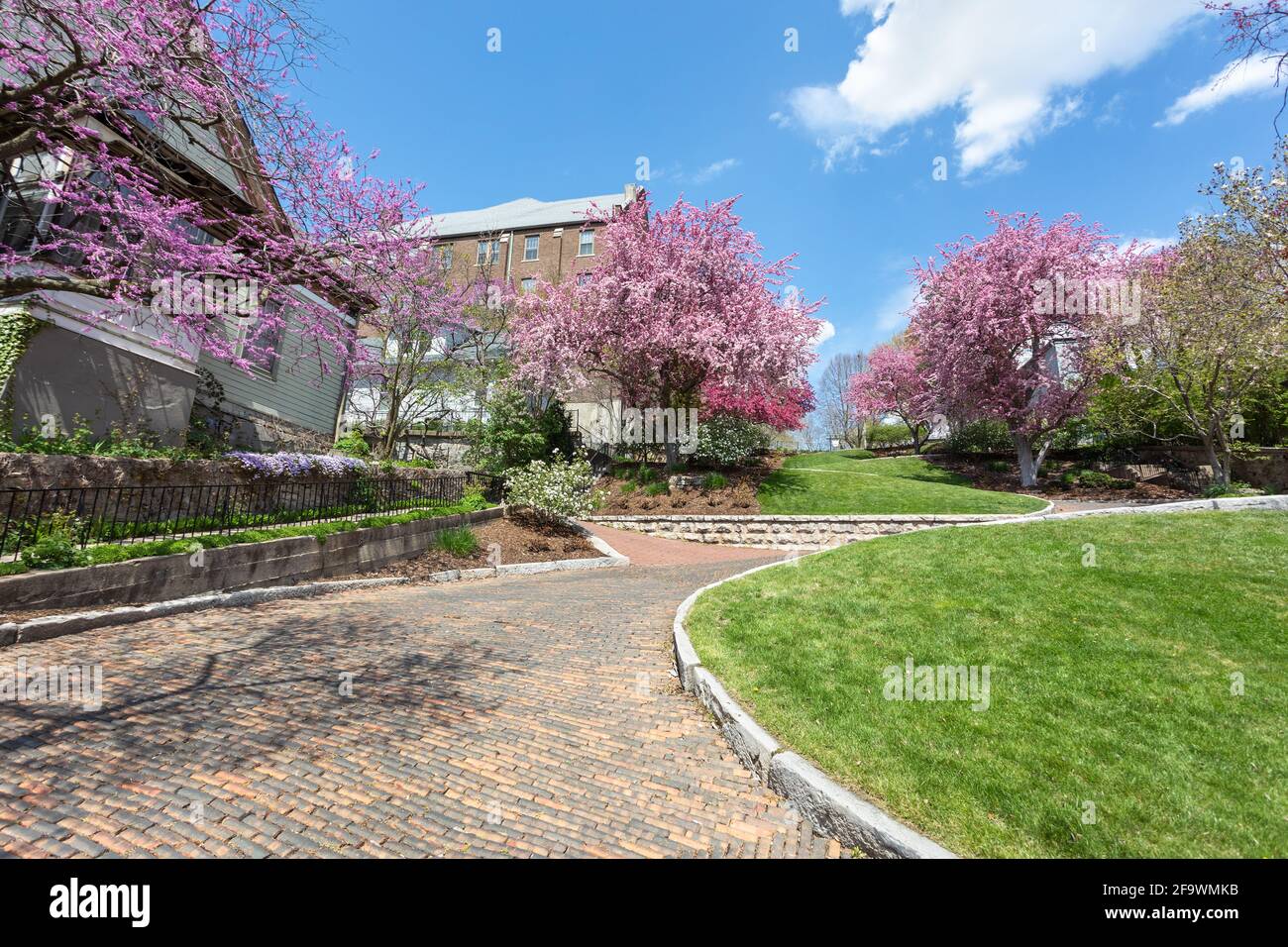 Snake Alley High Resolution Stock Photography and Images - Alamy